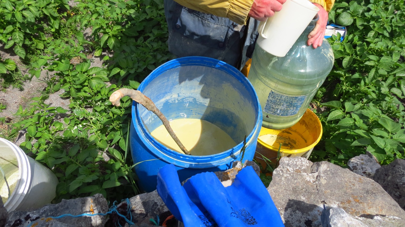 Spraying for potato blight | How's the Serenity?